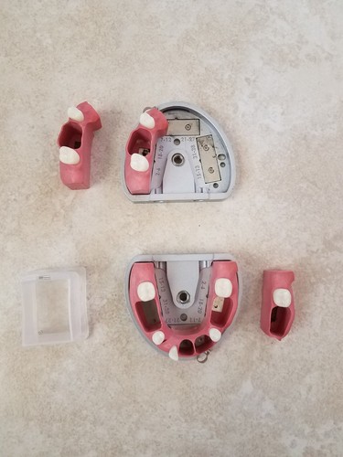 ModuPro 6 Endo Modules with Magnetic Carrier Trays and Opti-X | eBay
