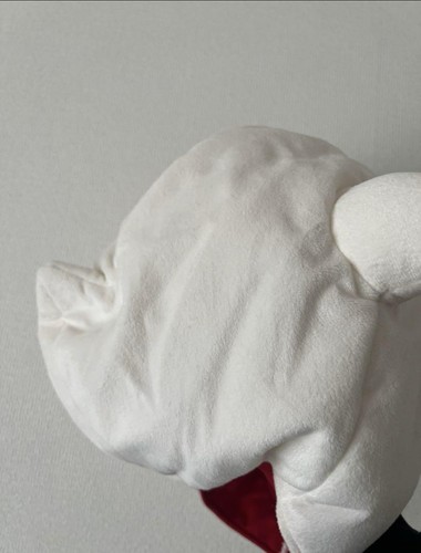 SUPER NINTENDO WORLD Boo Teresa Cosplay cap Size Free Mario Bros. USJ ...