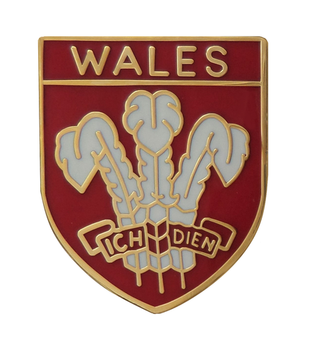 Wales Ich Dien Feathers Shield Pin Badge | eBay