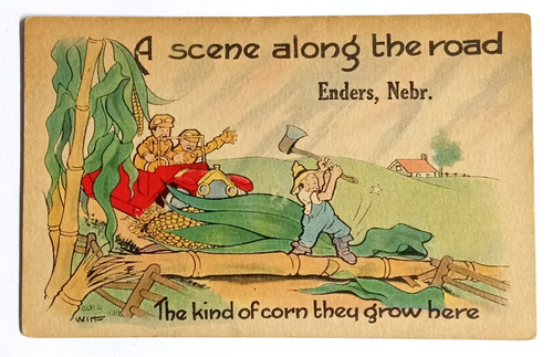 Enders Nebraska NE Sample Advertising Postcard c1910s Automobile Freak ...