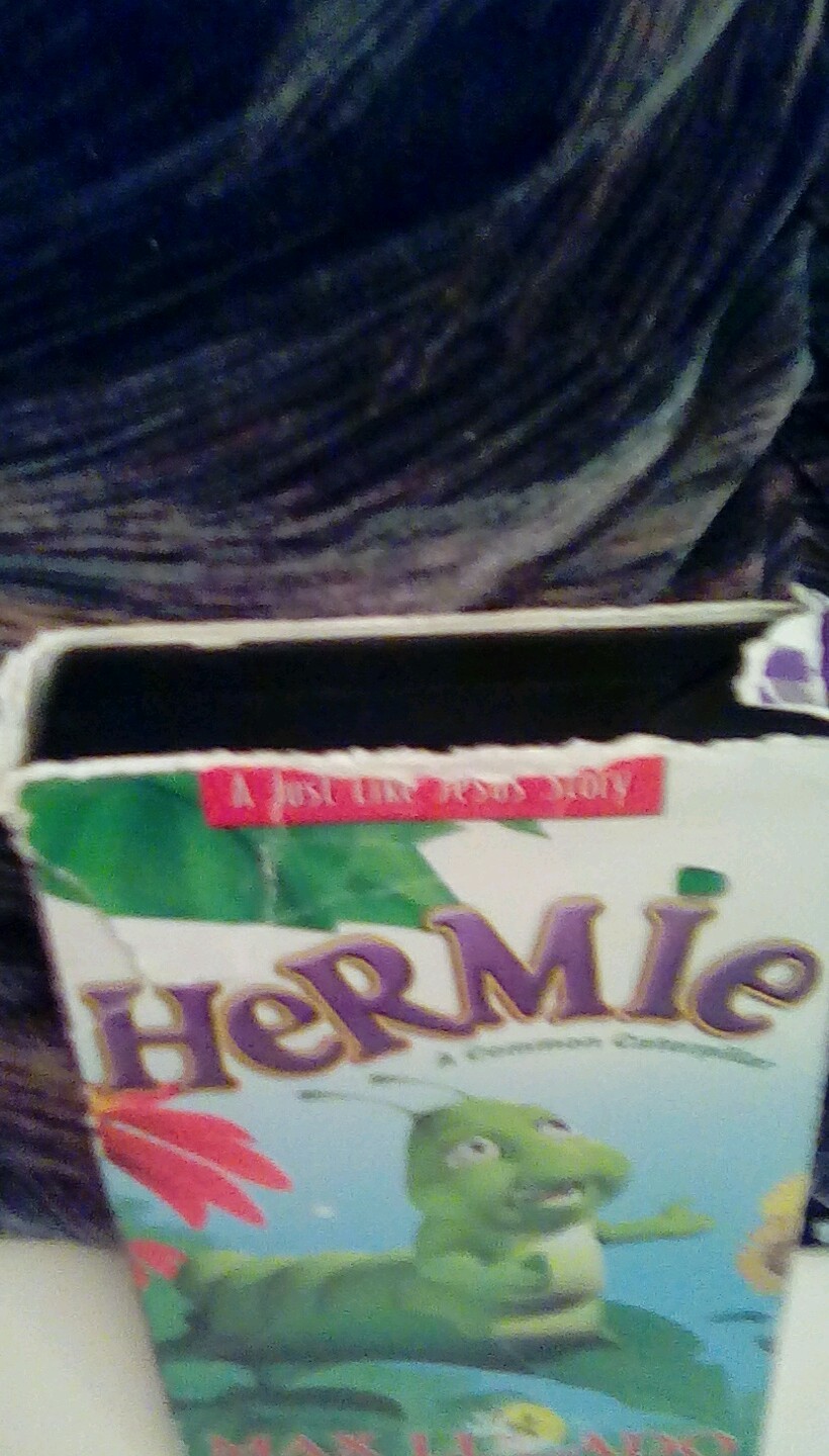 Hermie A Common Caterpillar 2002 VHS Max Lucado Don Knotts Tim Conway ...