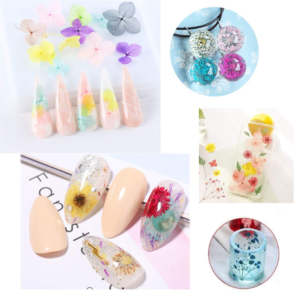 Flores Secas 3D 3 Cajas Coloridas de Gypsophila Secas Margaritas Hortensias 132 | eBay