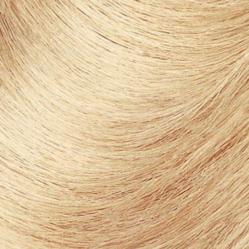 Clairol Balsam Hair Color 600 Palest Blonde 1 Kit (pack of 3) for sale ...