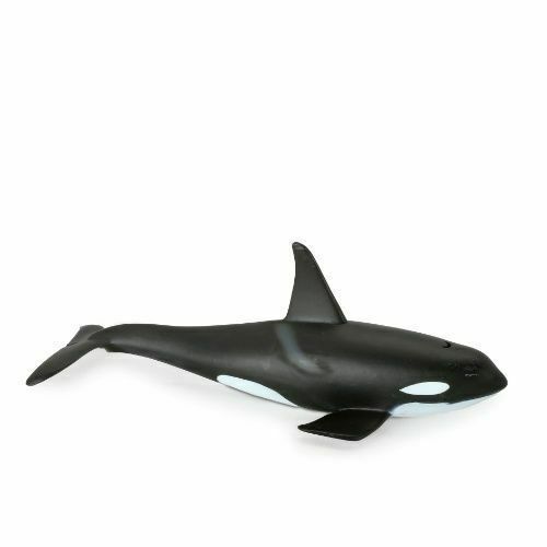 Mojo Fun 387114 Male Orca Realistic Sea Life Marine Toy Replica for ...