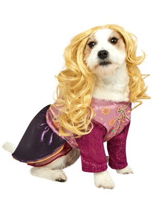 Hocus Pocus Sarah Pet Costume | eBay