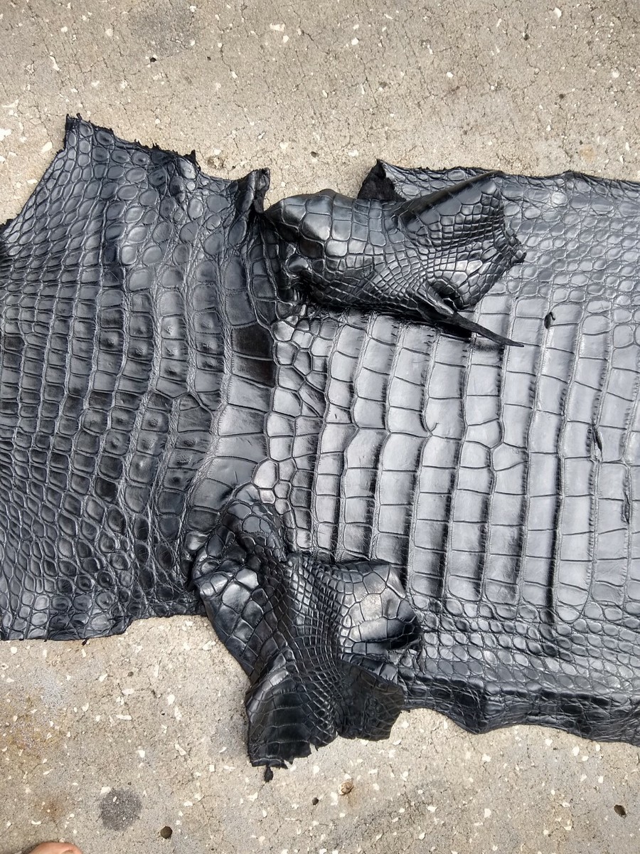 Alligator Hide