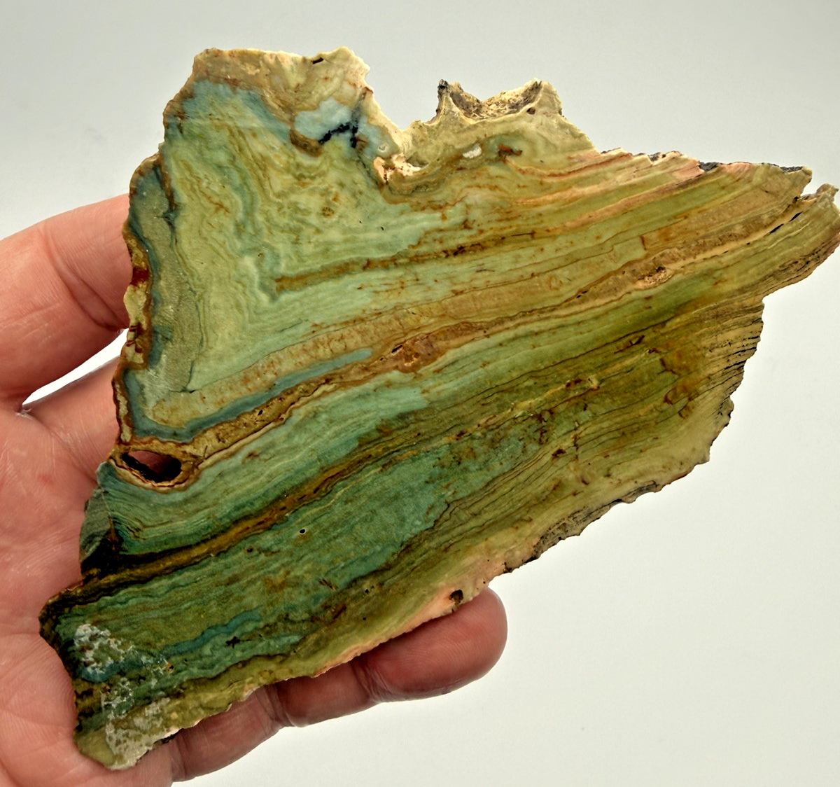 Gary Green Freedom Larsonite jasper rough slab lapidary 146.3 grams | eBay