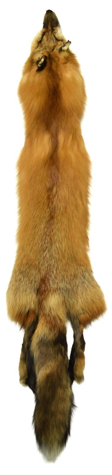 Red Fox Real Fur Pelt - Professionally Tanned Red Fox - Medium Grade | eBay