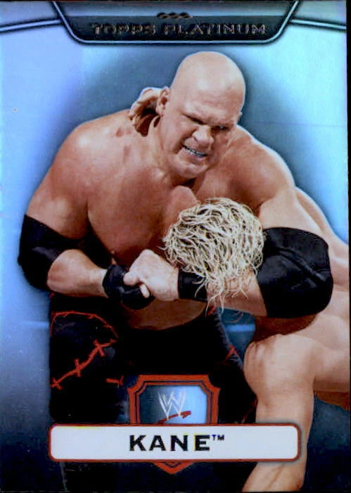 Kane 2010