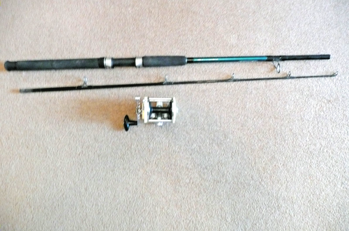 MITCHELL STAR 2 SECTIONS 1.80m BOAT ROD & GARCIA MITCHELL 6000 FISHING ...