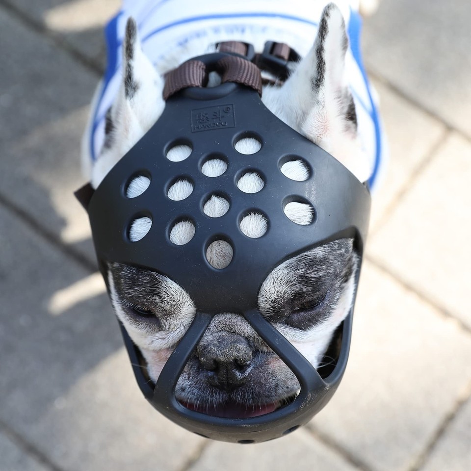 Short Snout Dog Muzzles,Soft Silicone Adjustable Breathable Bulldog ...