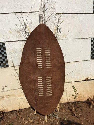 XXL Zulu Shield 145cm Brown White Isihlangu Cowhide African Warrior ...