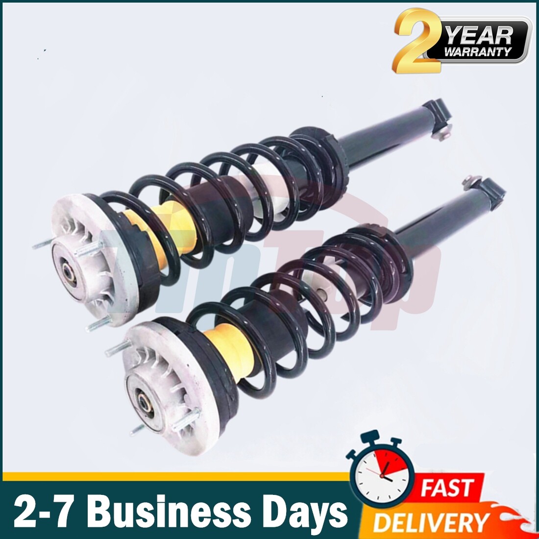 Pair Rear Shock Struts Assembly Fit BMW F10 F11 F12 F13 F18 528i 535i ...