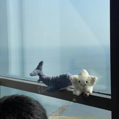 Jelly Cat Fun Milk White Star Plush Doll Cute Companion Toy Birthday ...