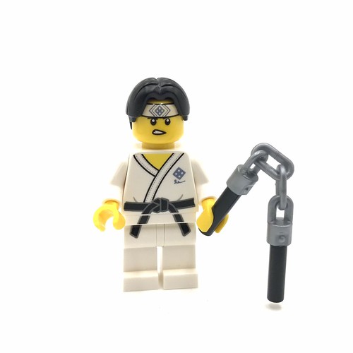 LEGO Martial Arts Boy CMF Series 20 71027 minifigure karate | eBay