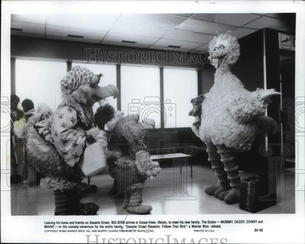 Follow That Bird Characters Sesame Street Follow That Bird (DVD 2009