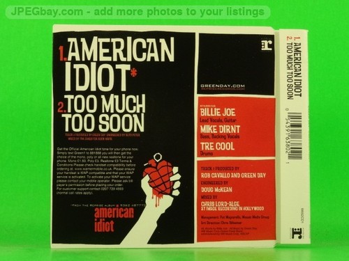 GREEN DAY AMERICAN IDIOT (L71) 2 Track CD Single along with Picture ...