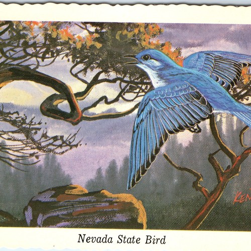 1968 NV Nevada State Bird Mountain Bluebird Ken Haag Painting Art ...