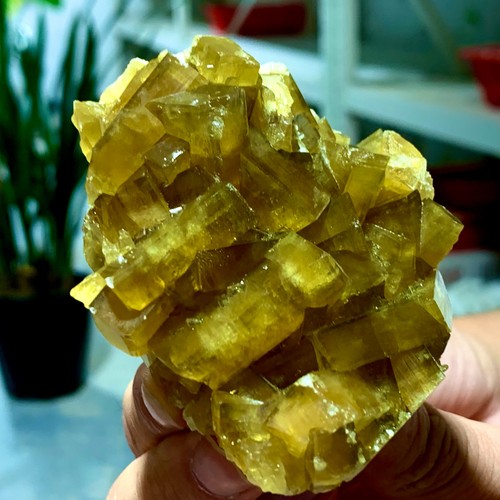 292G Shiny Golden Cuboid Barite Crystal Based on the Purple Spherical ...