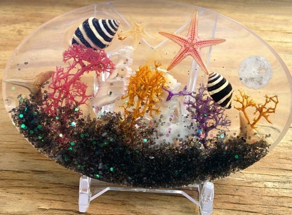 Tropical Florida ocean sun catcher beach art novelty sea shells ...