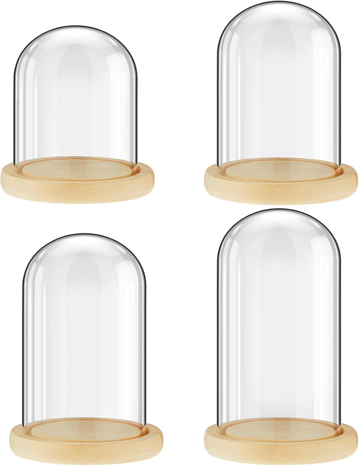 4 Pcs Glass Display Dome Cloche Clear Dome Cloche with Wood Base ...