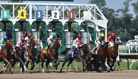 SPACE Thoroughbred Horse Racing System | eBay