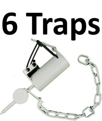 6 Ztrap Dog Proof Trap Nuisance Control Raccoon Leg Hold 6 Traps | eBay