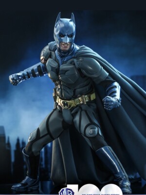 READY NEW AUTHENTIC HOT TOYS WB100 BATMAN WB DC 100 MMS697 SPECIAL GREY ...