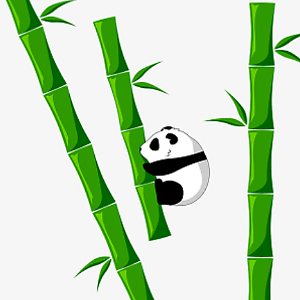 z-bamboo | eBay Stores