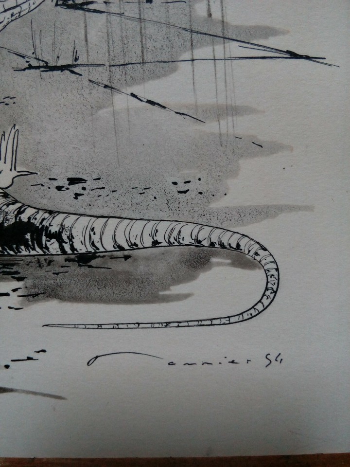 Lizard Ink Drawing, Signed ? 1956 | eBay