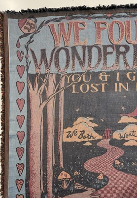 TAYLOR SWIFT INSPIRED We Found Wonderland Blanket Throw Woven | eBay