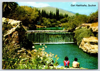 Israel Sachne Gan Hashlosha Vintage Postcard Continental | eBay