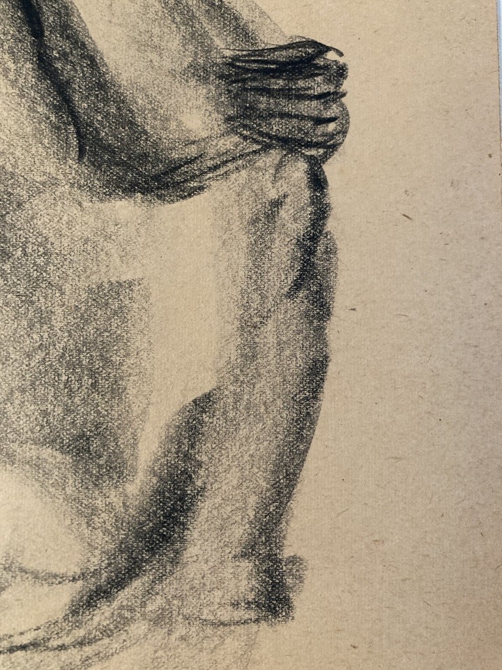 Very Nice Drawing Charcoal Paper Monkey Baboon Portrait Animal 1950 to ...