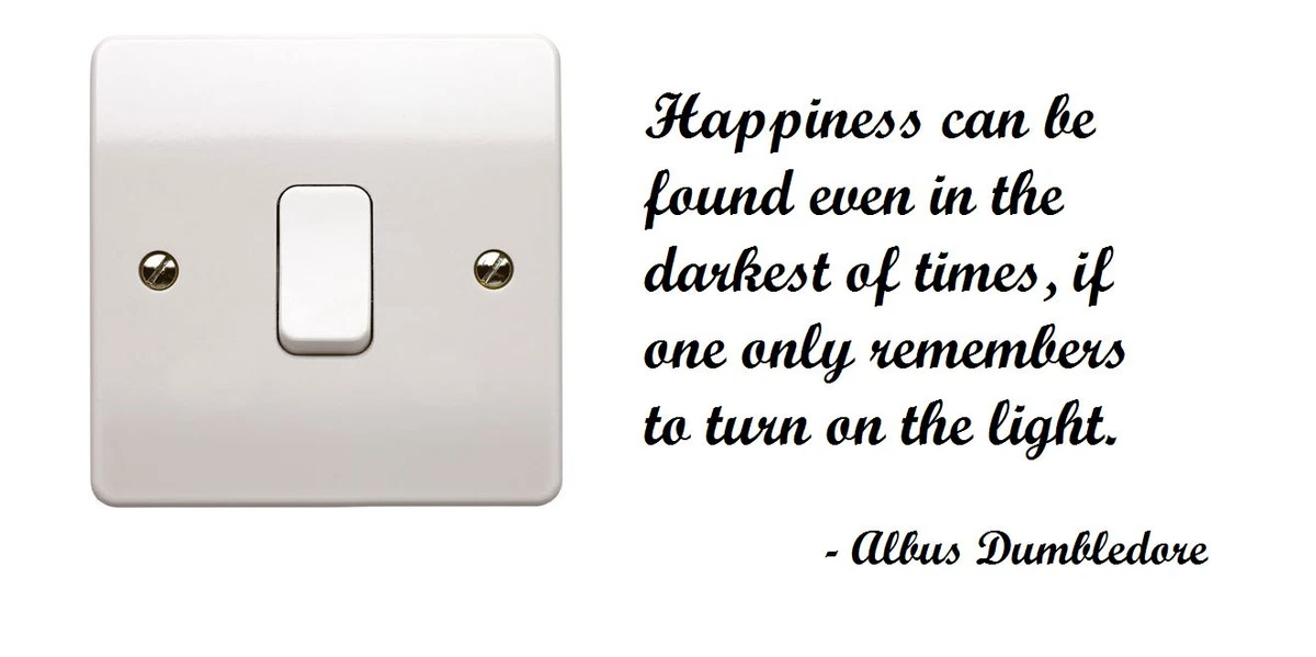 Harry Potter Quotes Dumbledore Light