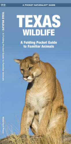 Texas Wildlife: A Folding Pocket Guide to Familiar Species (Pocket ...