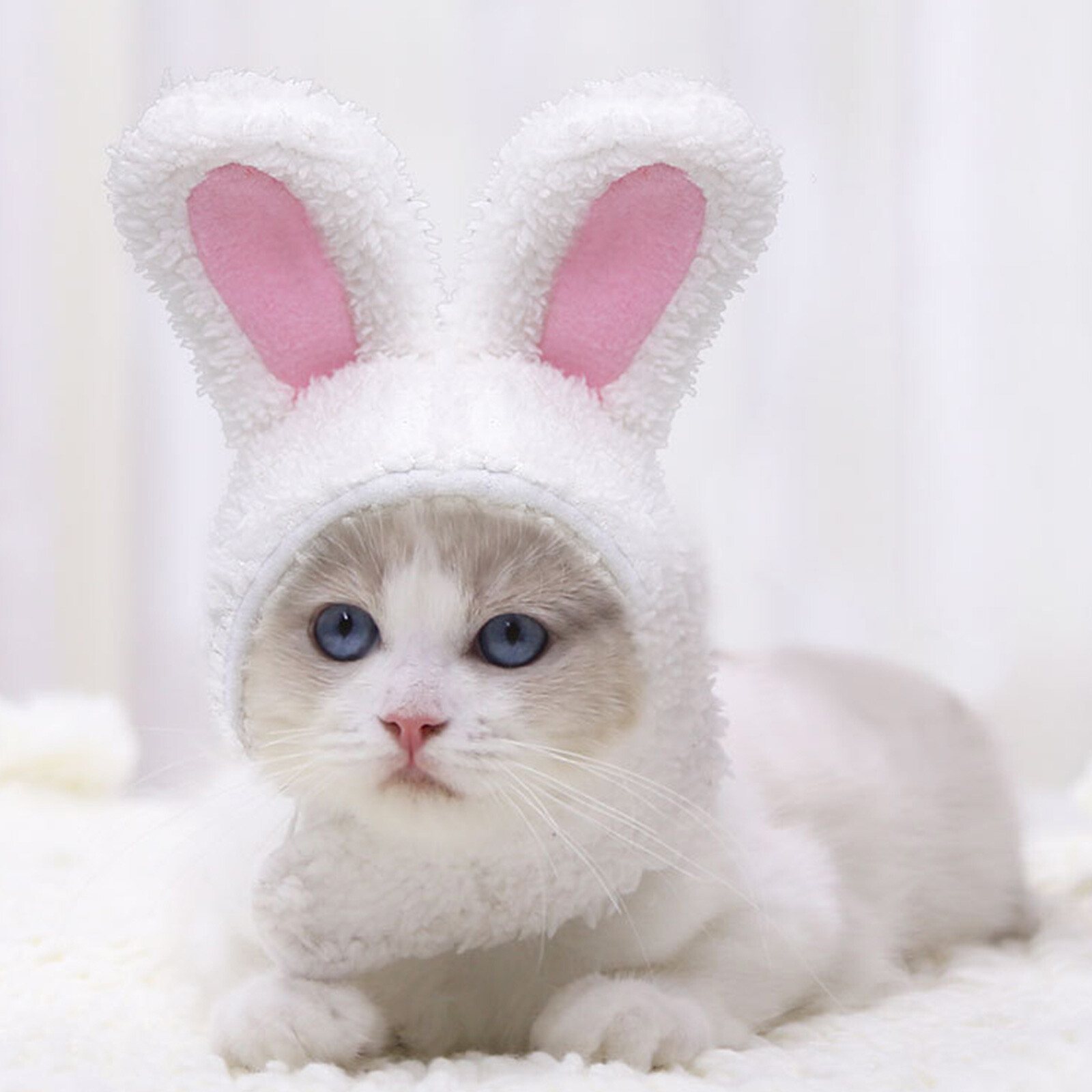 Rabbit Ear Cats Hat Cartoon Cat Dog Headgear Pet Dressup Caps Supplies ...