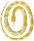 Albino Python Rubber Snake 46 inch - Play Animal by Wild Republic ...