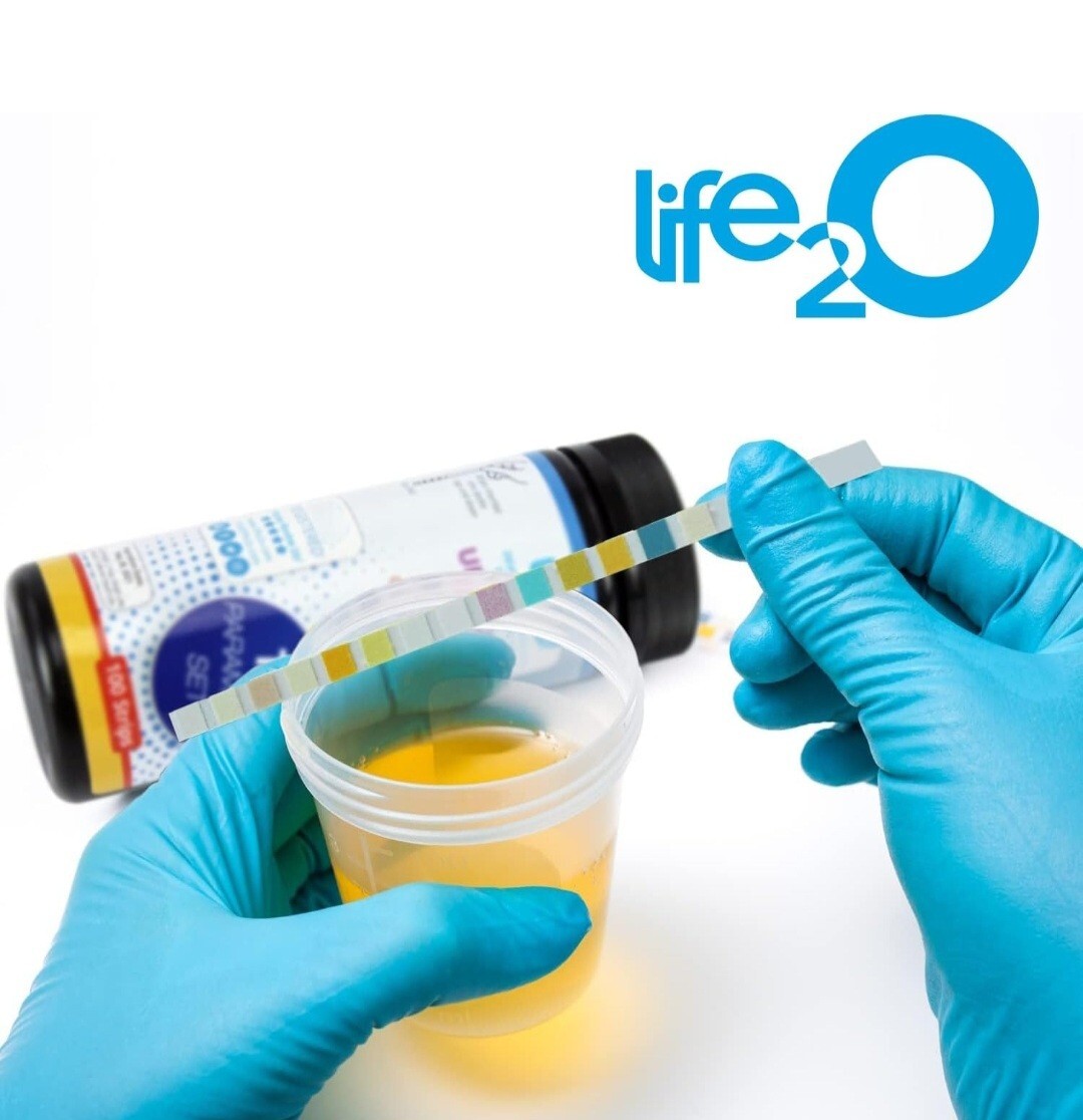 life2O 14-Panel Urine Test Strips UTI Keto Ketosis Protein Bilirubin ...
