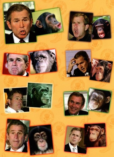 Funny Happy Birthday George W. Bush & Monkey 43 43rd President Greeting ...