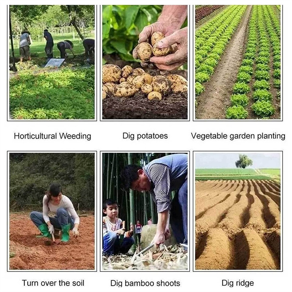 Hand Weeder Rake Weeding Weed Remover Puller Manual Tool Garden ...