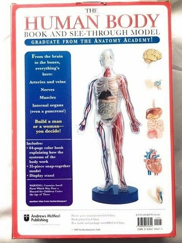 Human Body See-Through Model Kit - Vintage Becker & Mayer Educational ...