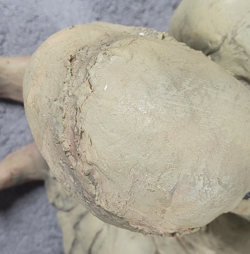 Morbid Industries Spirit Halloween 2005 Russian Sleep Experiment Spazm ...