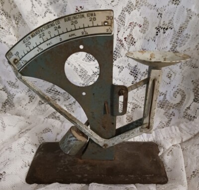Scales - Poultry Egg Scale