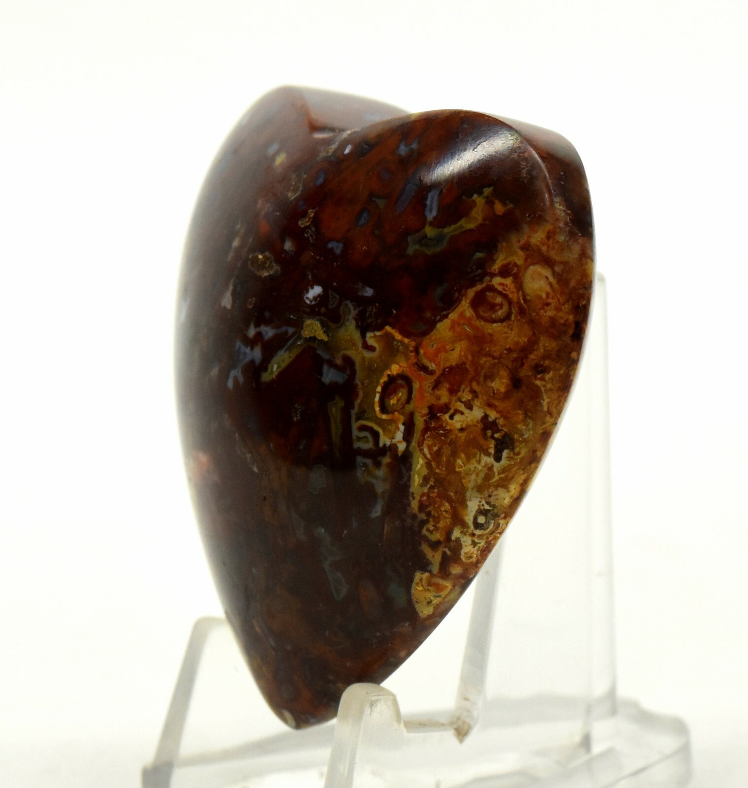 44mm Red Yellow Petrified Palm Root Agate Heart Polished Stone Fossil ...
