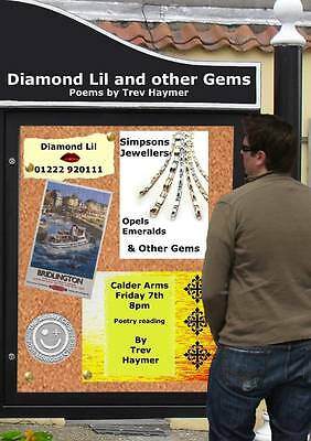 Diamond Lil by Trev Haymer (Paperback, 2012) for sale online | eBay