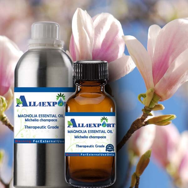 Magnolia Flower Essential Oil Benefits | Best Flower Site