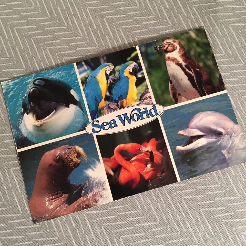 Postcard, Seaworld of San Diego California, Orlando Florida, and Aurora ...