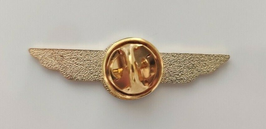 A320 Wings Badge Pin Airbus Pilot Captain Crew - Gold | eBay
