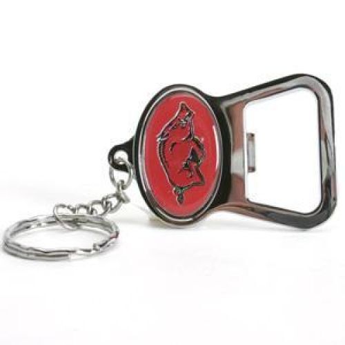 Arkansas Razorbacks Metal Key Chain And Bottle Opener W/domed Insert | eBay