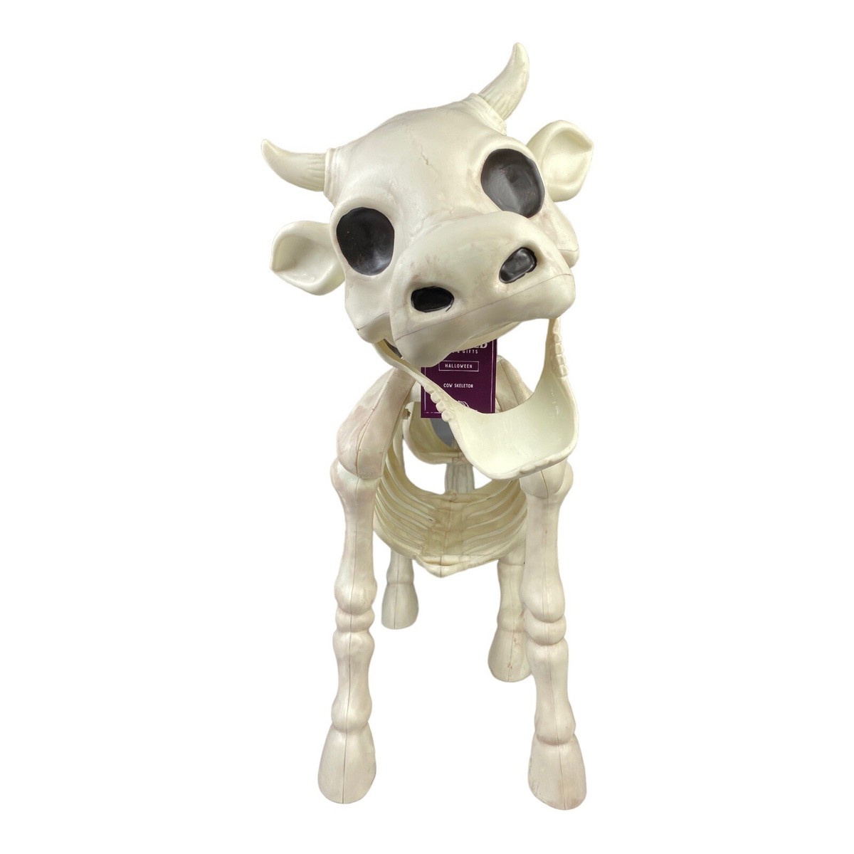 Cow Skeleton Iconic Ceramic Cow Skull Medium